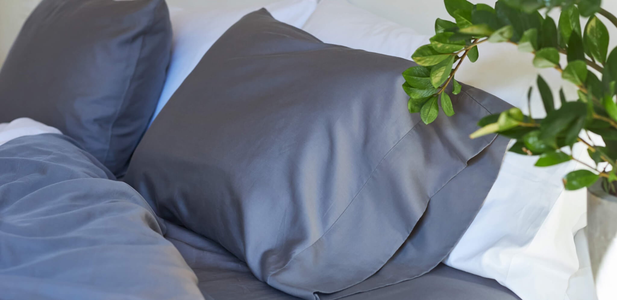 2024 Award Winners – Slumber Cloud